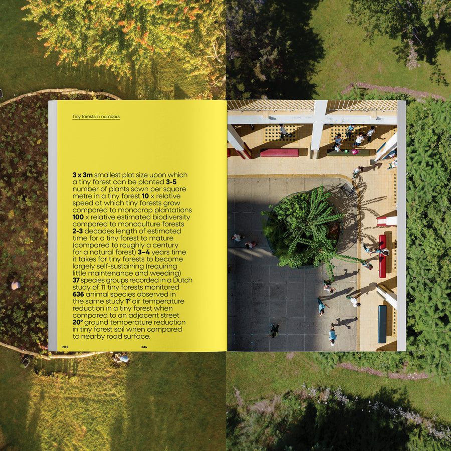 NTS Sub Club Quarterly Subscription – Never Too Small